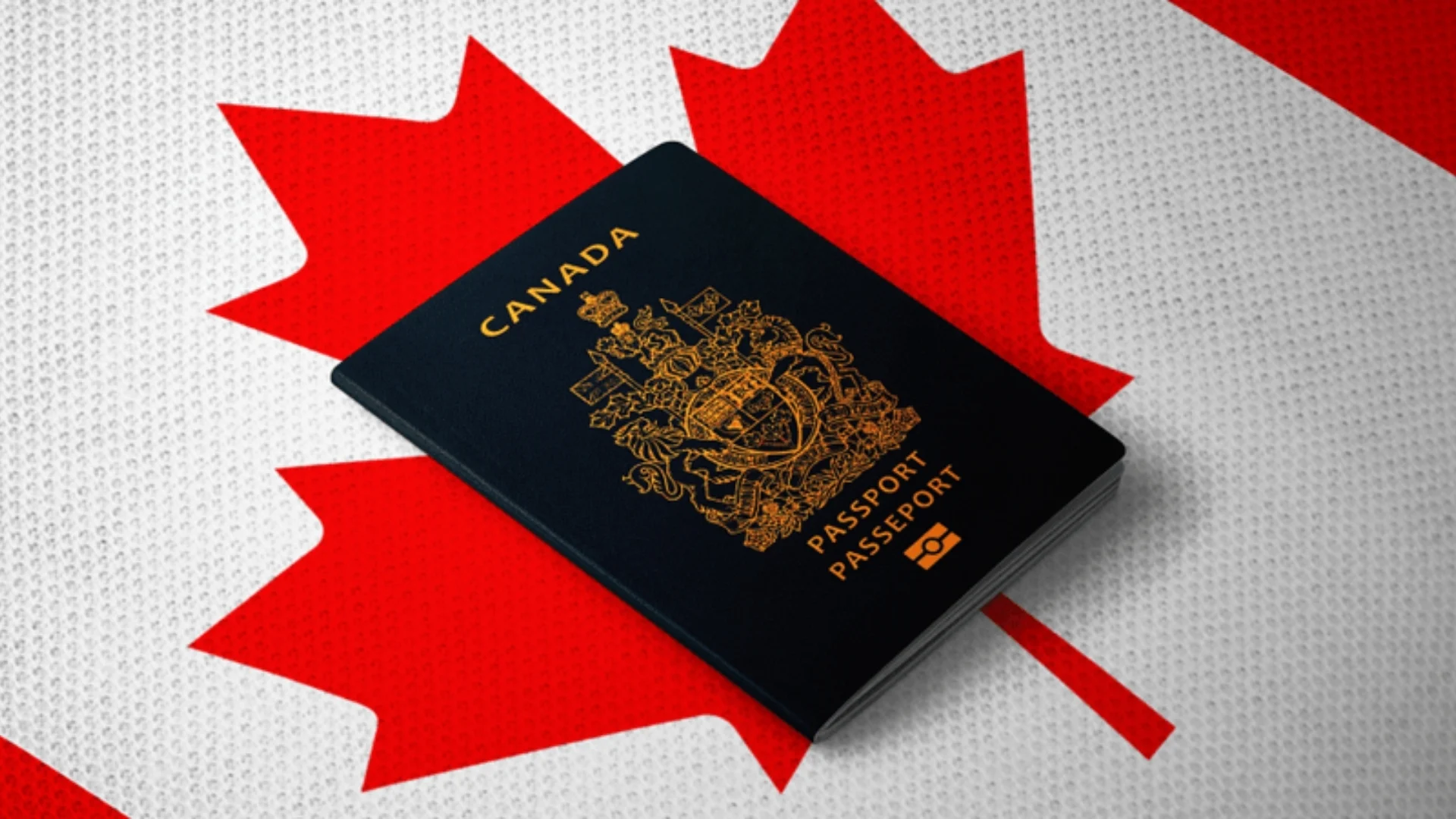 Immigration Division Services | Detention Review Hearings